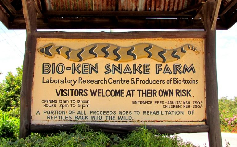 Bio-Ken Snake Farm – Safari Afrika