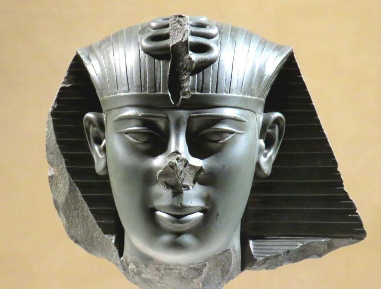 Amasis – Safari Afrika