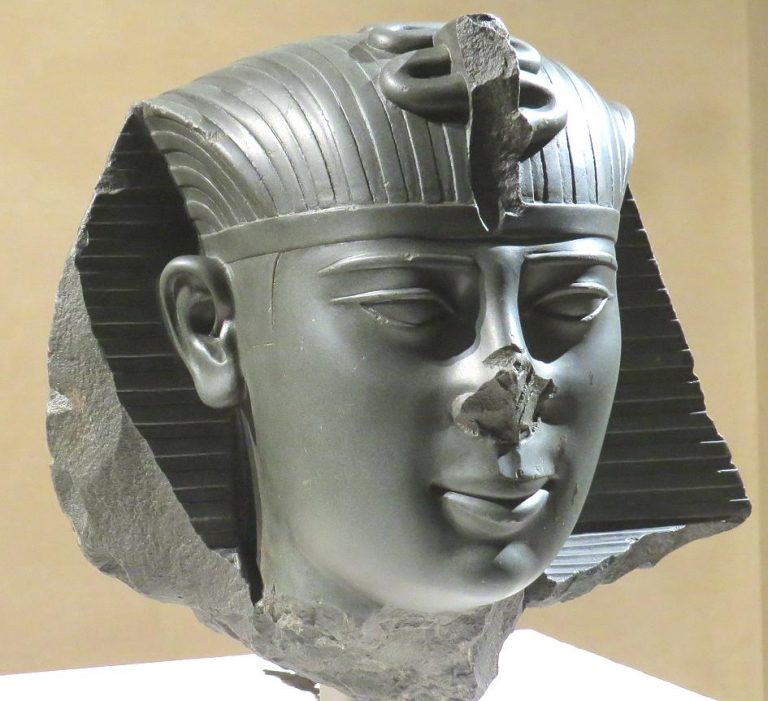 Amasis – Safari Afrika